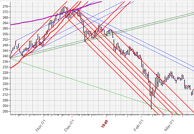 W d gann measuring stick - sanybull